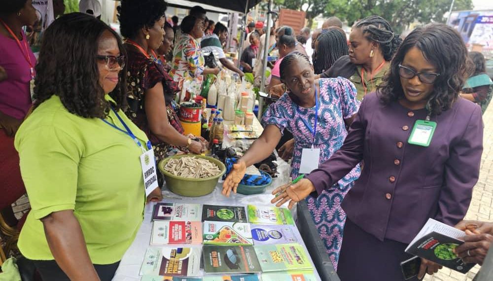 RMRDC Urges SMEs in Delta State to Embrace Plantain Value Addition for ...