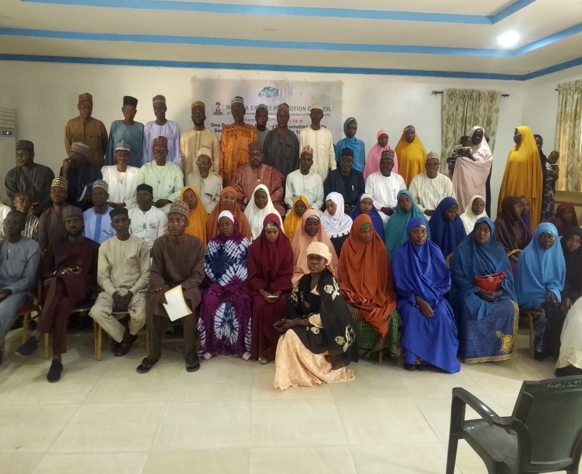 RMRDC, NEPC Empower Sesame Seed Cluster in Yobe through Capacity ...