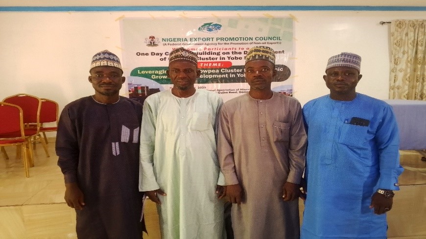 RMRDC, NEPC Partner to Strengthen Yobe’s Non-Oil Export Drive and ...
